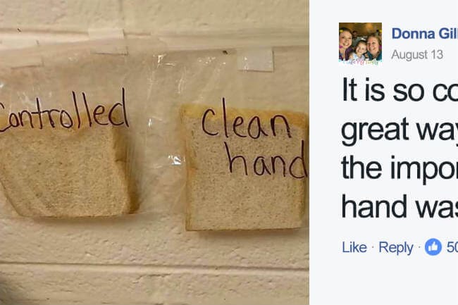 bread experiment | For Every Mom